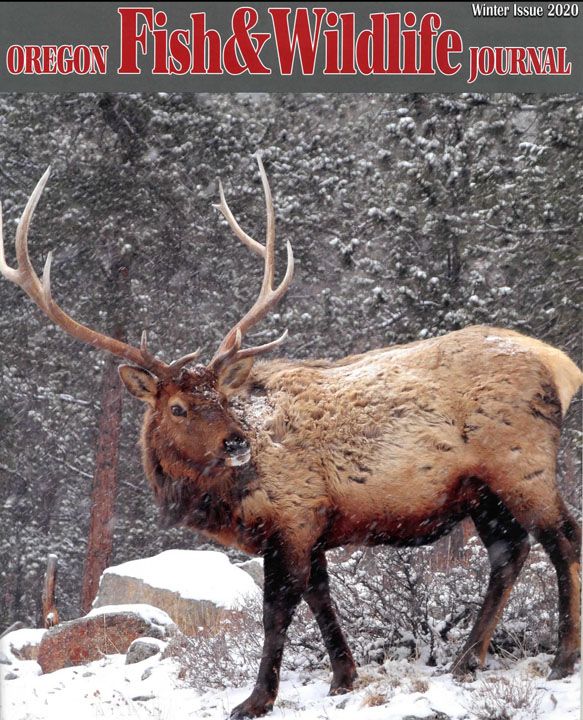 Bob Zybach and The Giesy Plan Alternative