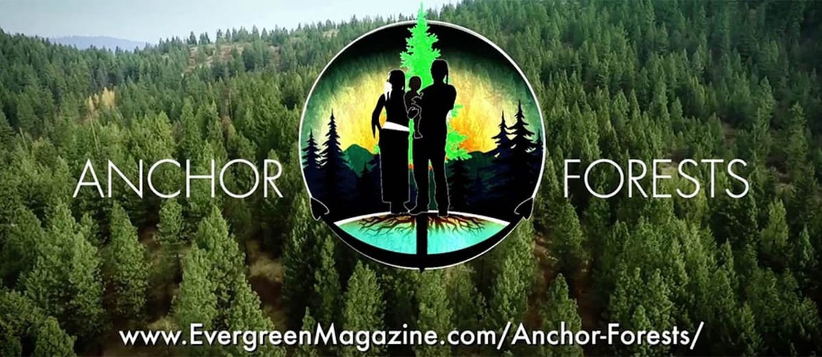 Anchor Forests Video Series, Part 1: Land and Place