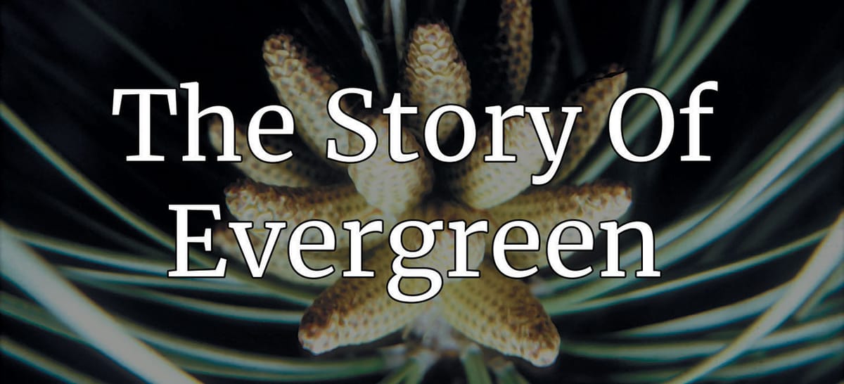 The Story of Evergreen