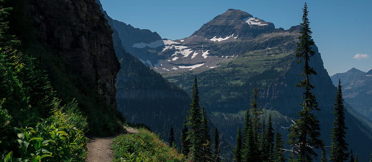 BRUCE WARD: COLORADO'S FOREST CRISIS...THE WISDOM OF RECREATION