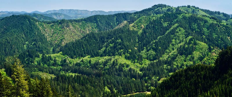 Rural Oregonians Respond to the Draft Elliott State "Research" Forest Plan